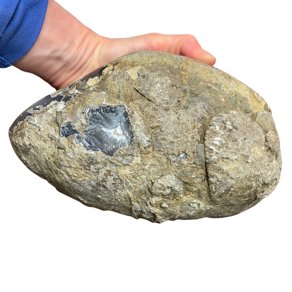 Geoclassics | Amethyst Geode