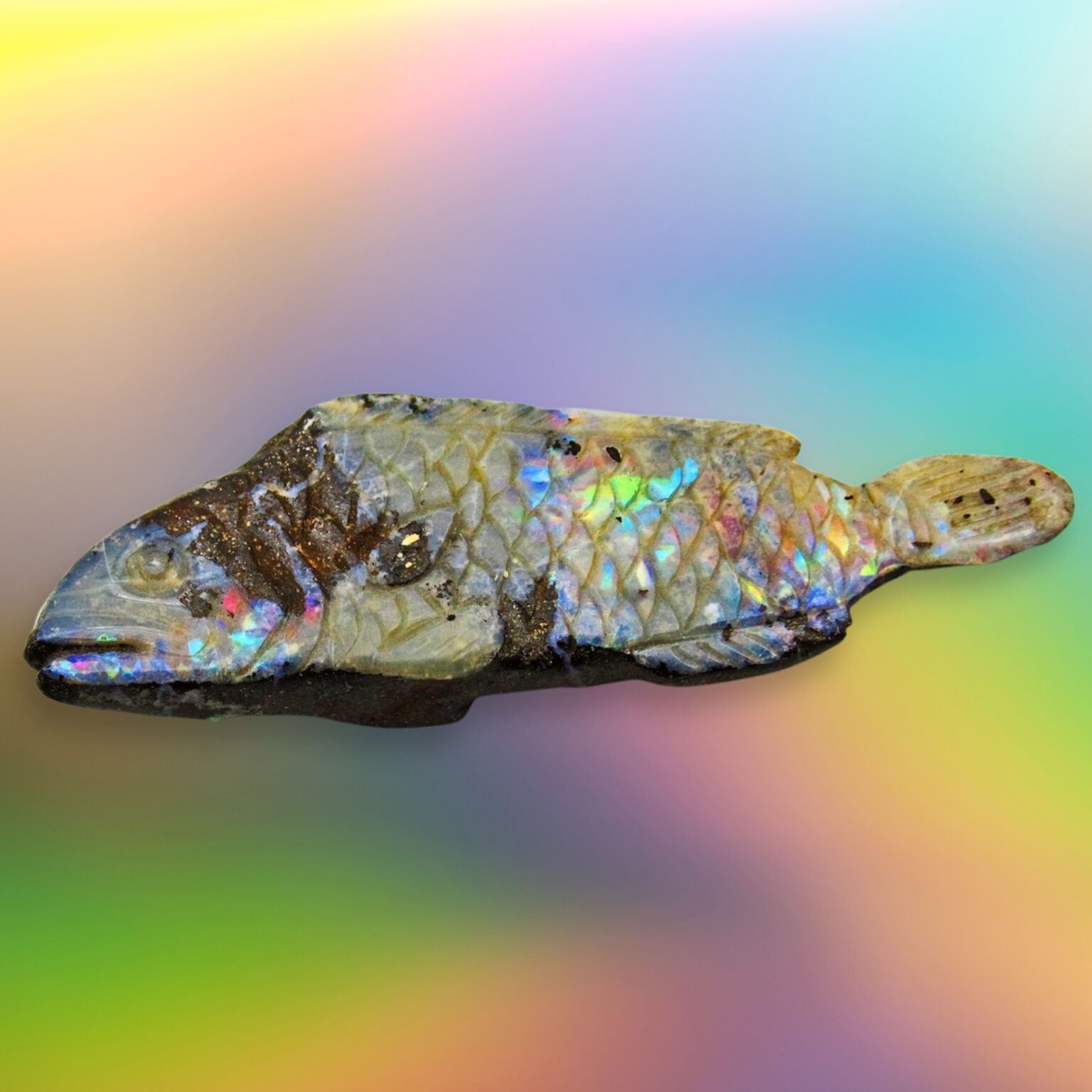 Geoclassics | Boulder Opal Fish