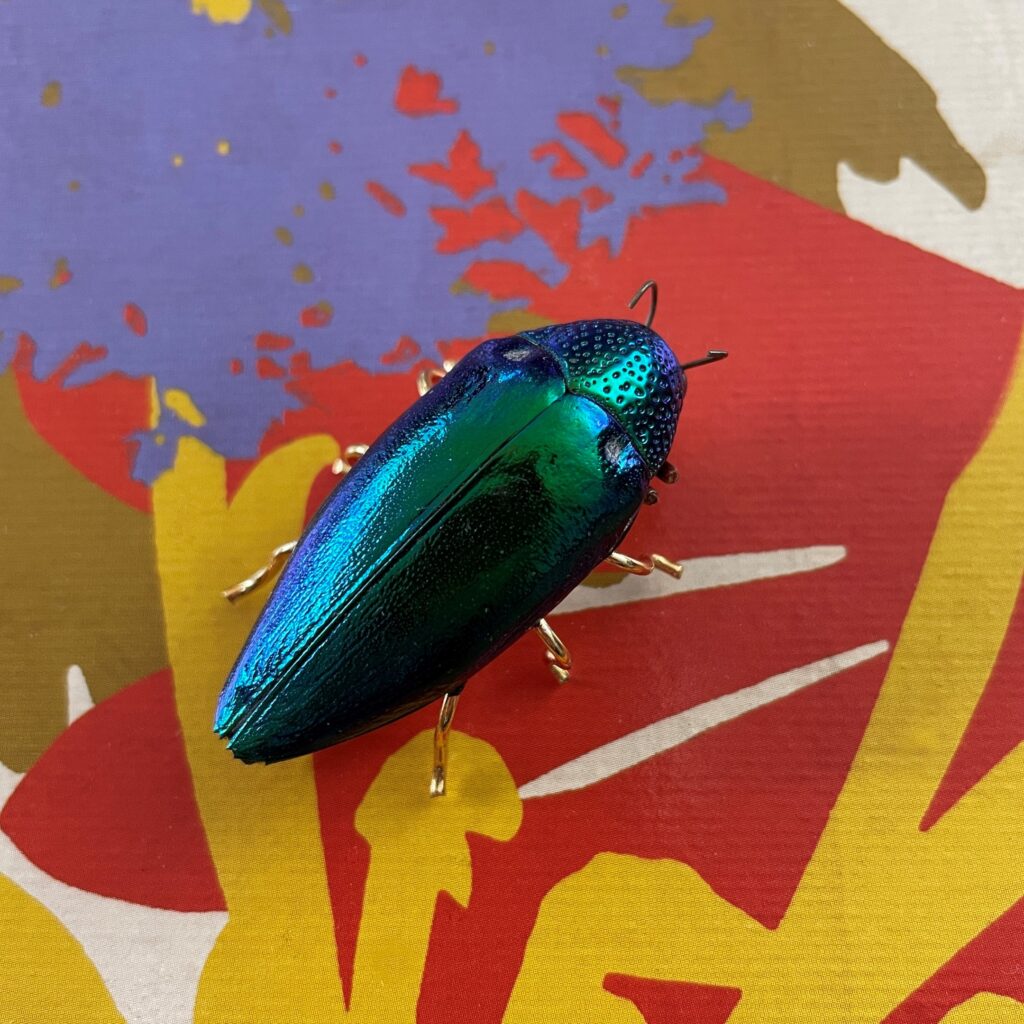 Geoclassics | Emerald Beetle Pin