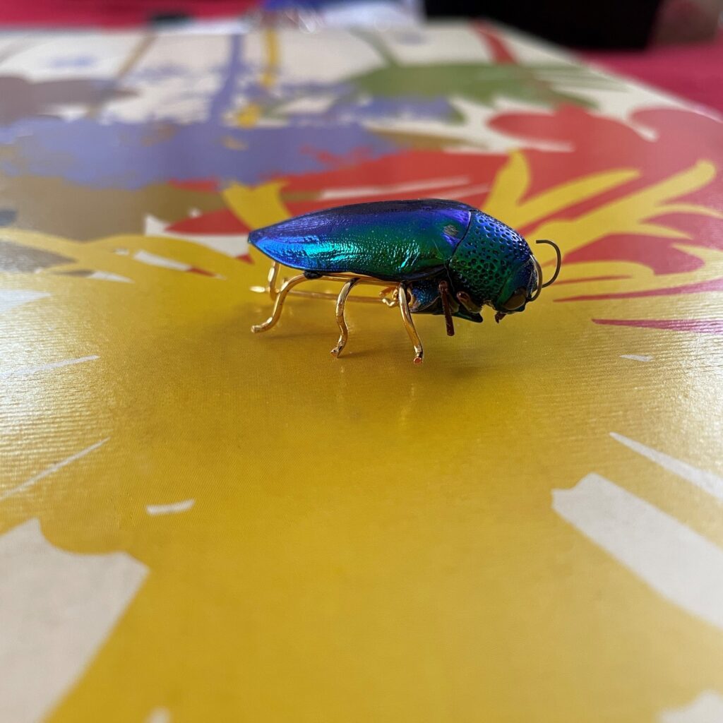 Geoclassics | Emerald Beetle Pin