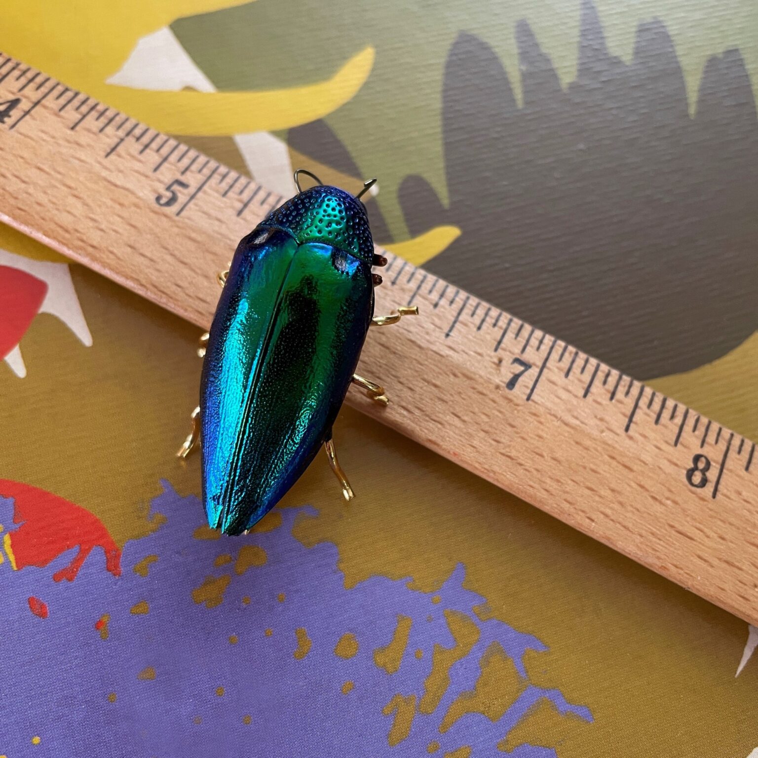 Geoclassics | Emerald Beetle Pin