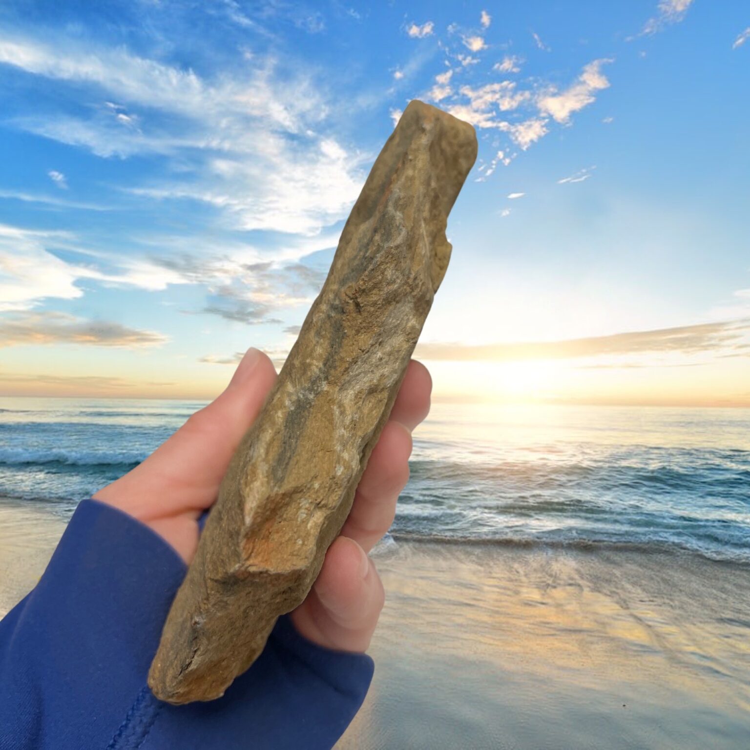 Geoclassics | Fossil Starfish Plate ~ Salteraster and Petraster ~ Australia