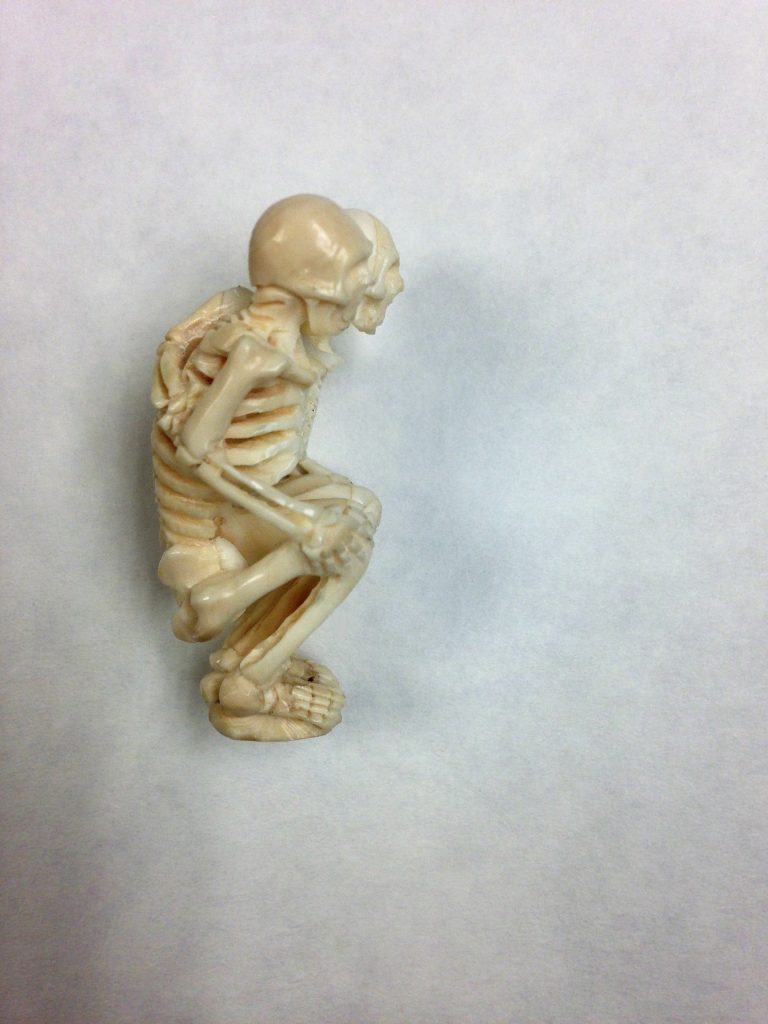 Geoclassics | Fossil Ivory Sitting Skeletons Pals