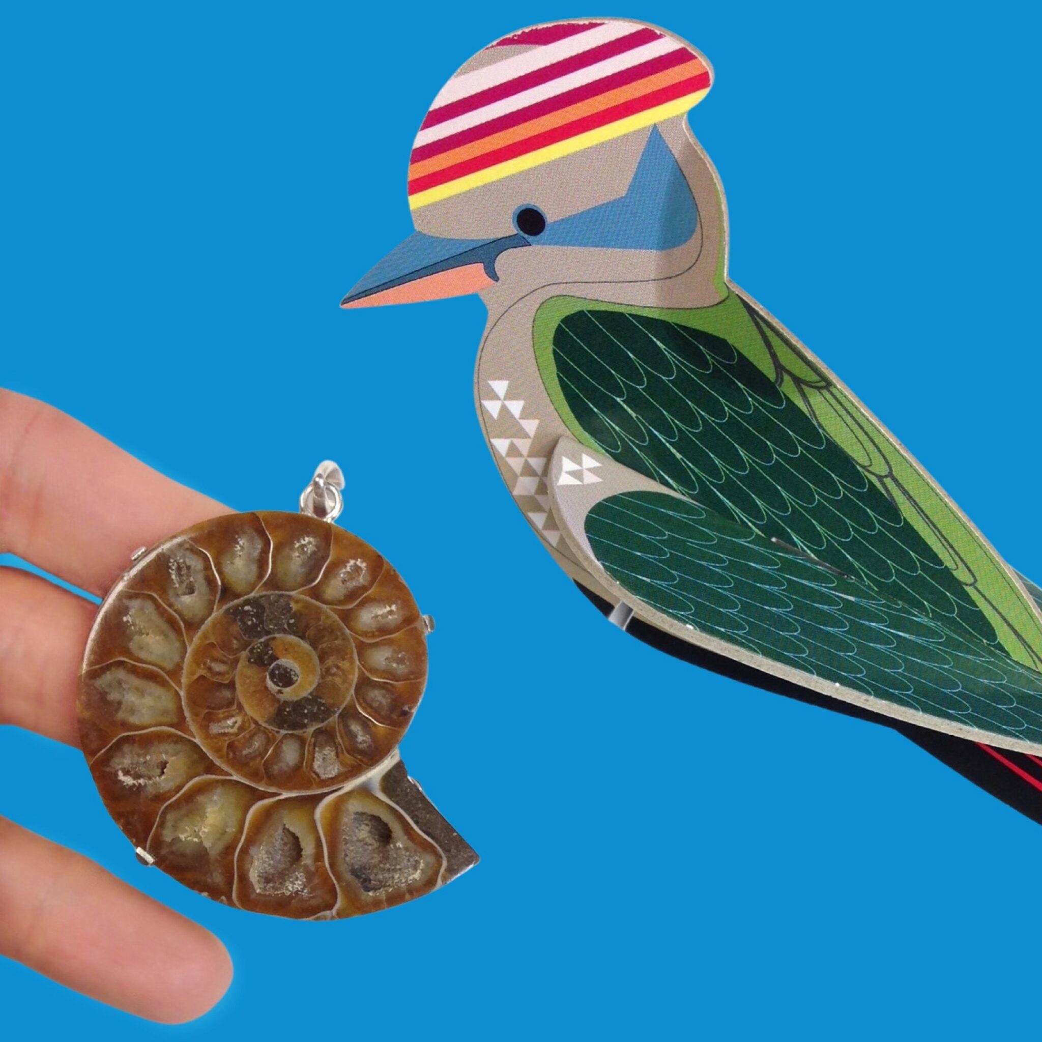 Geoclassics | Fossil Ammonite Split Half Pendant