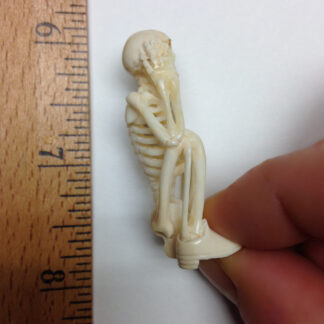 Geoclassics | Fossil Ivory Worried Skeleton