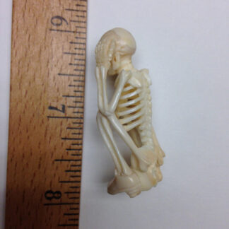 Geoclassics | Fossil Ivory Worried Skeleton