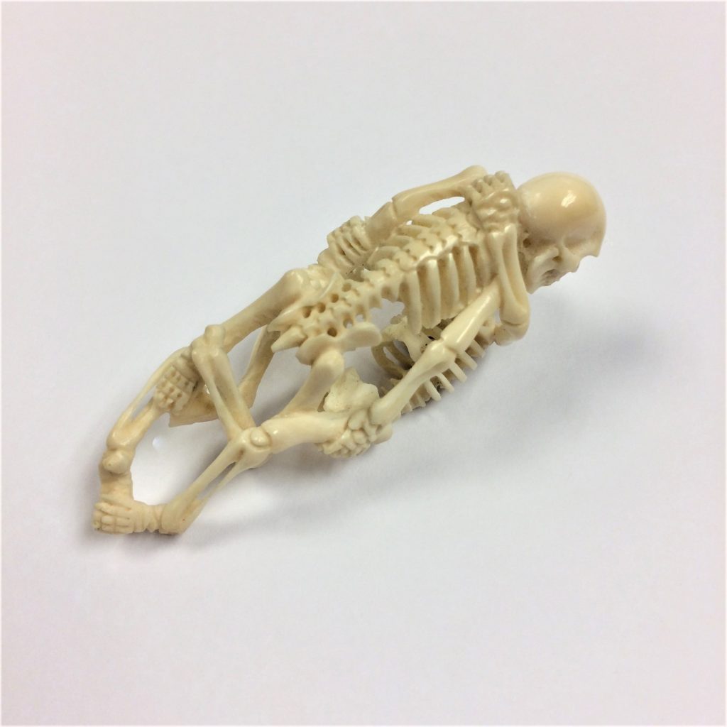 Geoclassics | Fossil Ivory Skeletons