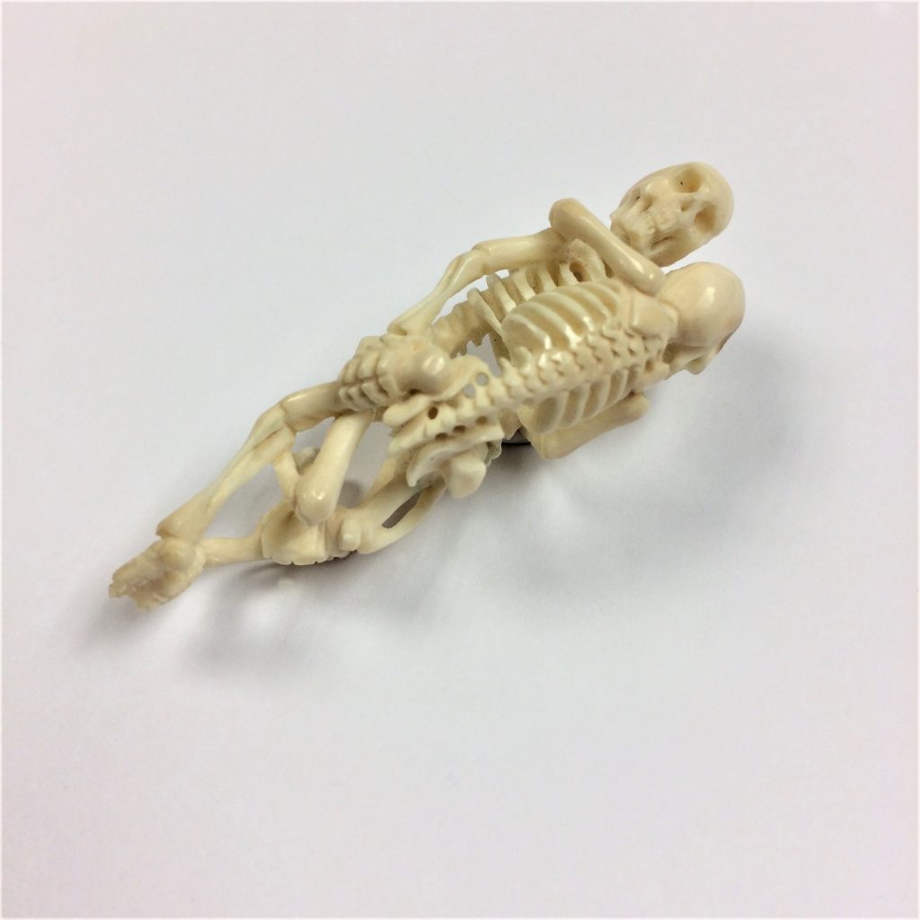 Geoclassics | Fossil Ivory Skeletons