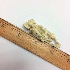 Geoclassics | Fossil Ivory Skeletons