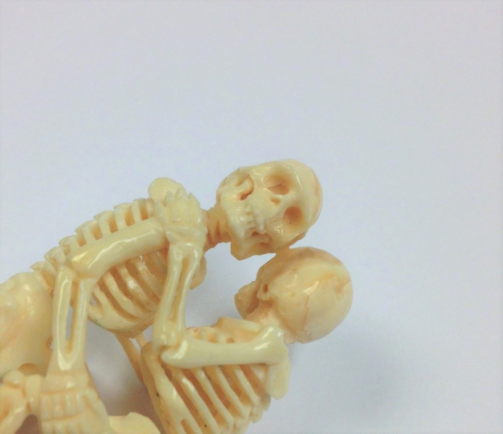 Geoclassics | Fossil Ivory R-rated Skeletons