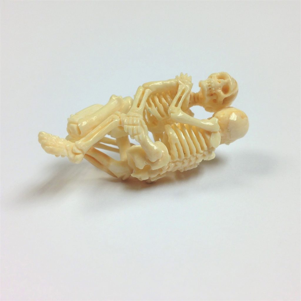 Geoclassics | Fossil Ivory R-rated Skeletons