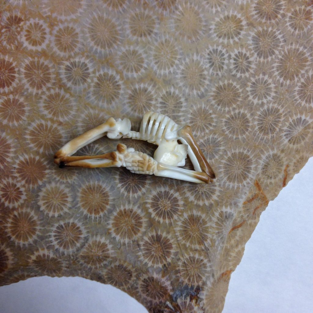 Geoclassics | Fossil Ivory Pigeon Pose Yoga Skeleton