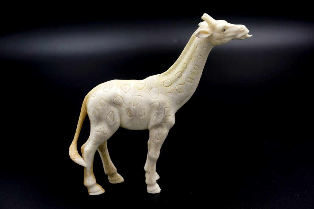 Geoclassics | Moose Antler Giraffe