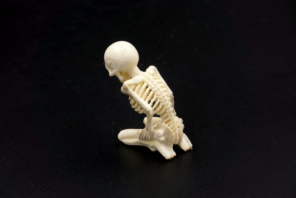 Geoclassics | Moose Antler Hunched Sitting Skeleton