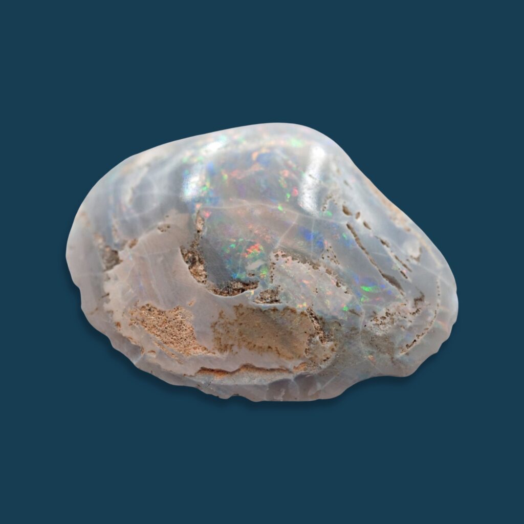 Geoclassics | Category: FOSSILS