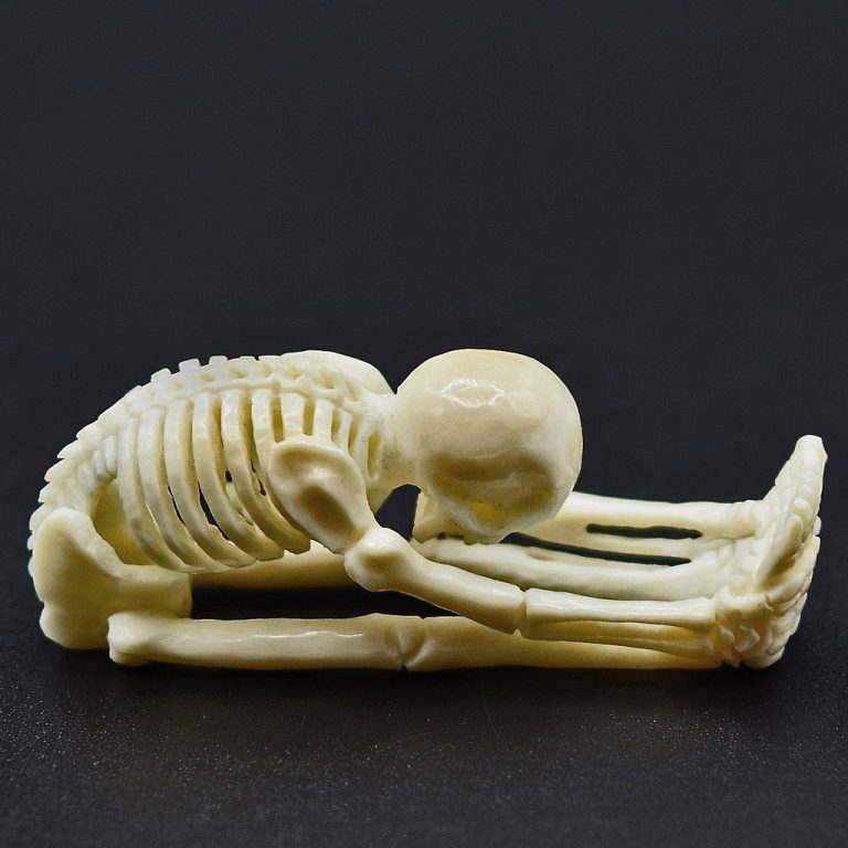 Geoclassics | Fossil Ivory Seated Forward Bend Yoga Skeleton