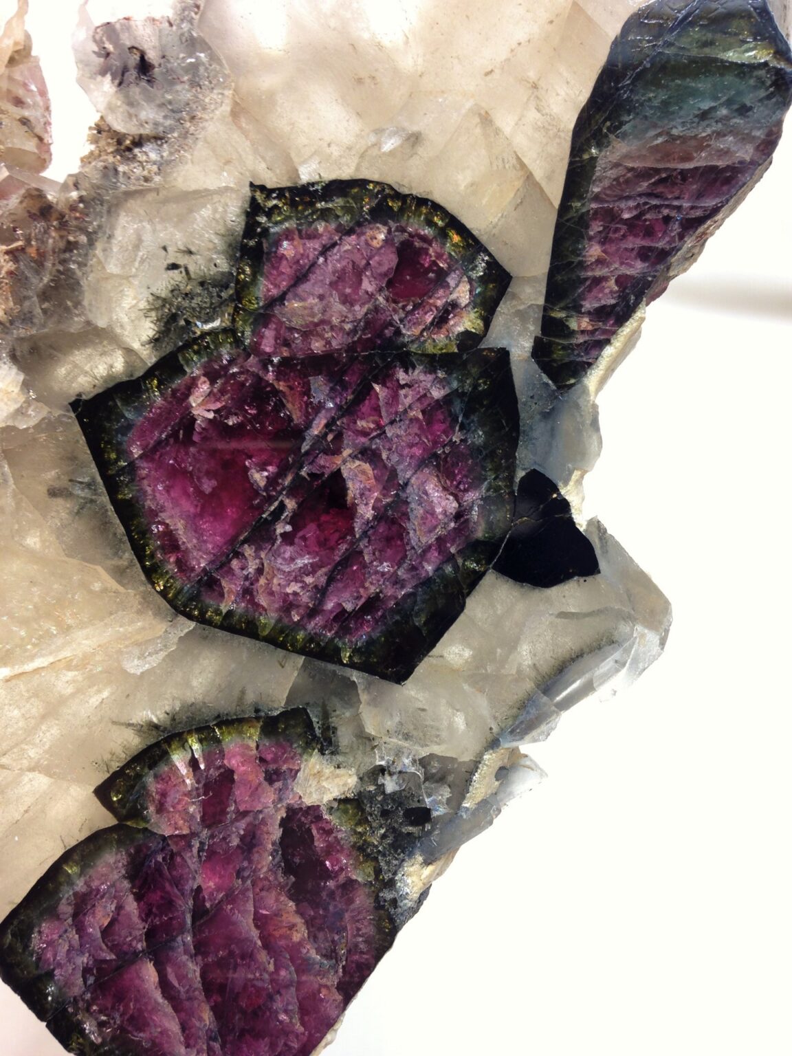 Geoclassics | Watermelon/Bi-Color Tourmaline in Quartz Slice